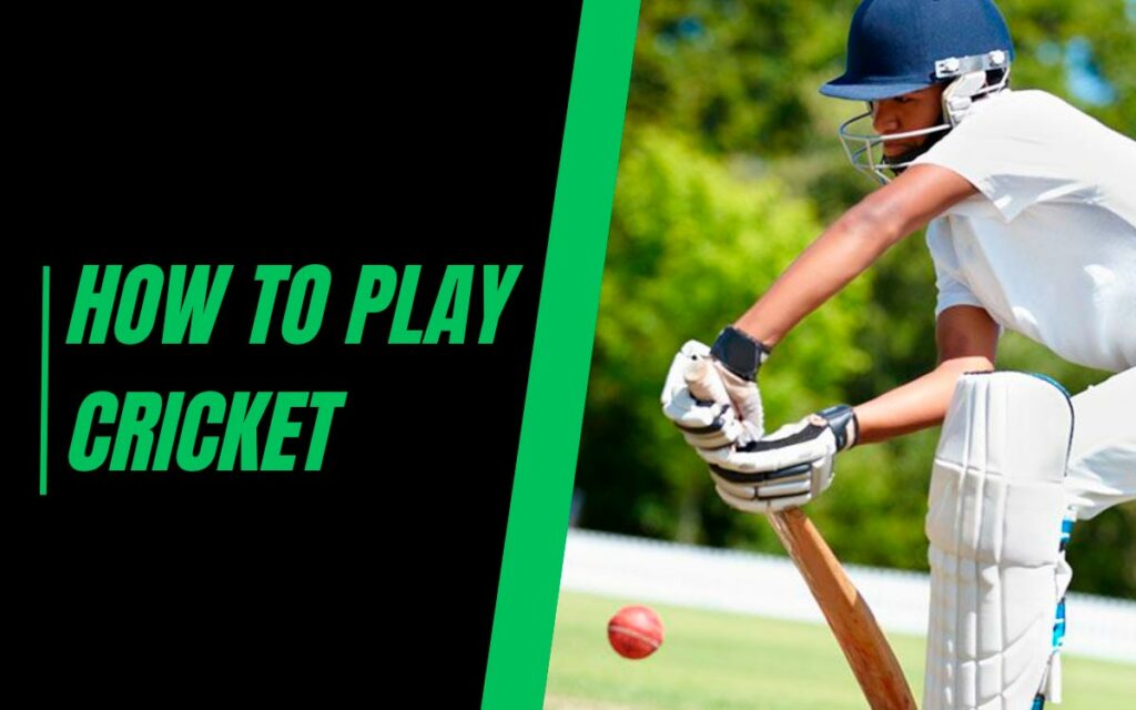 Professional Cricket - Playing Rules & Equipment - MS Betting